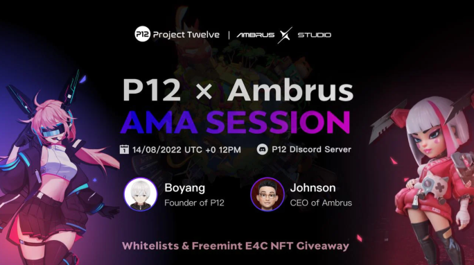 P12 | Project Twelve